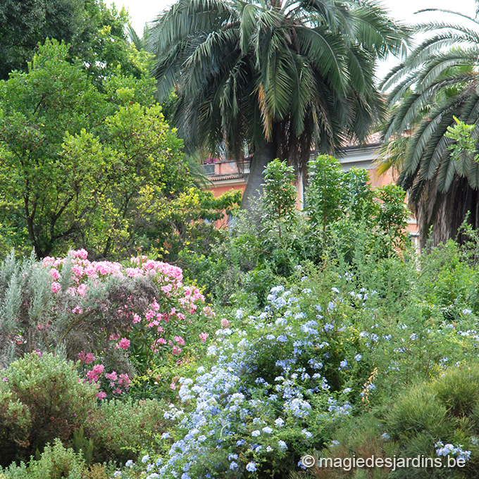 Roma: Jardin Botanique de Rome