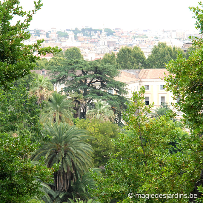 Roma: Jardin Botanique de Rome