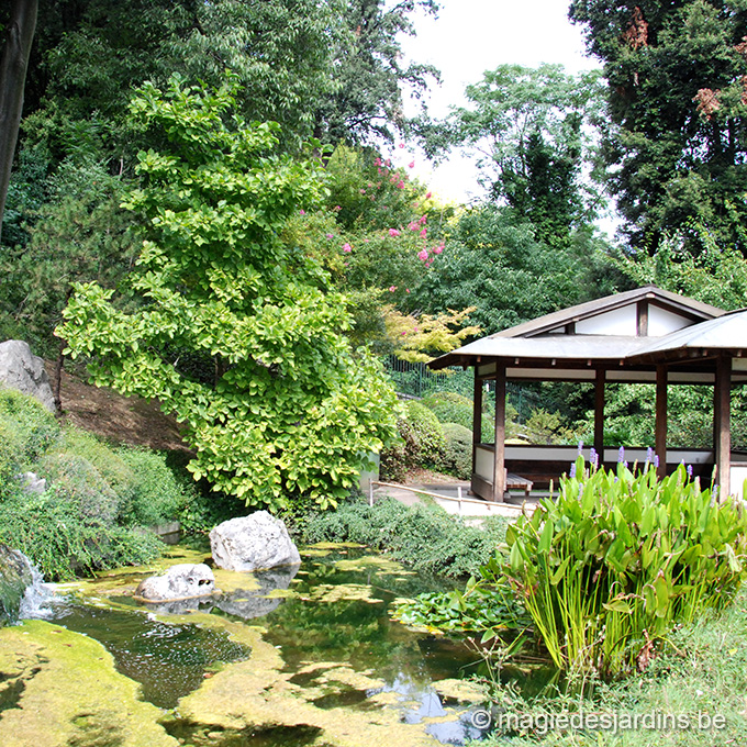 Roma: Jardin Botanique de Rome